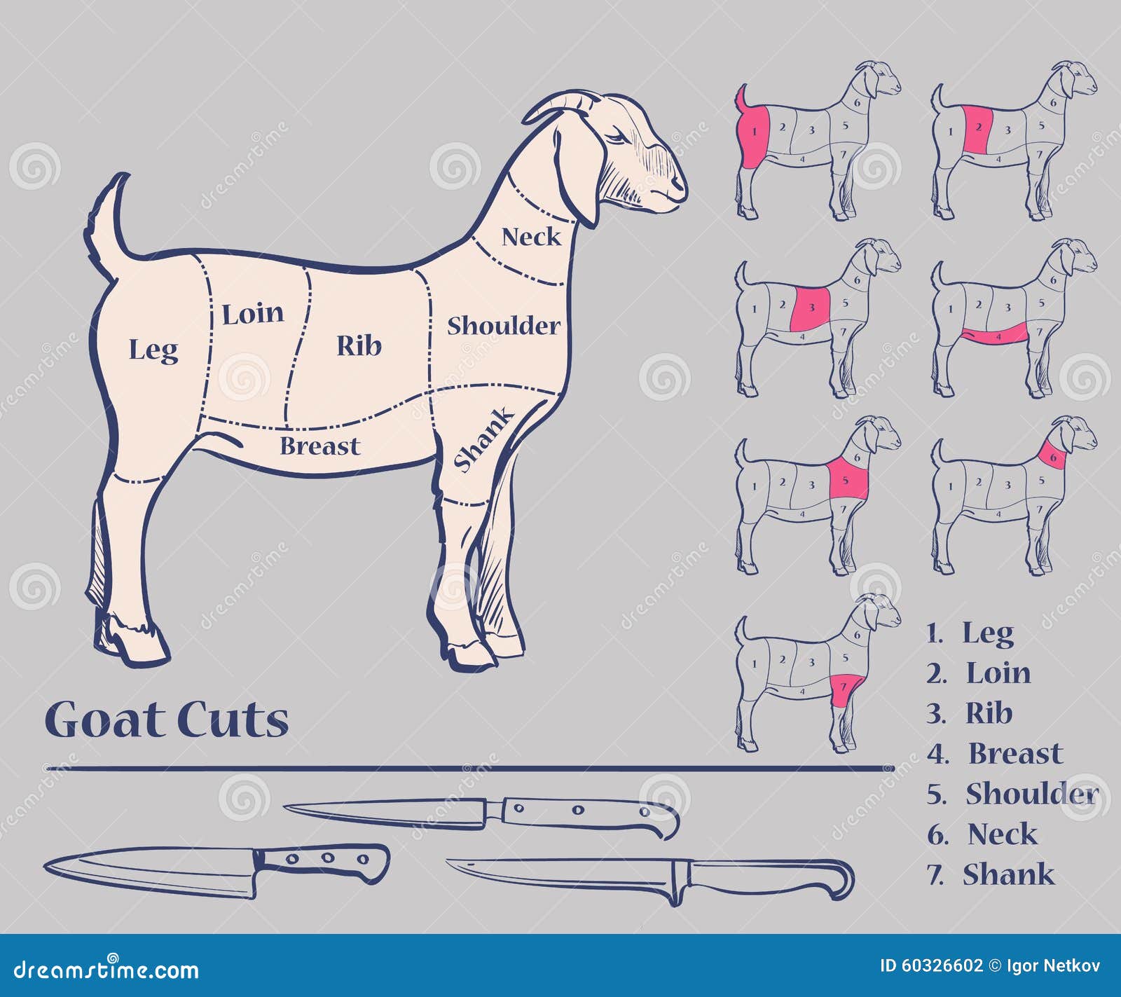 Goat Meat Chart. Butchery Poster With Goat Meat Cuts And Paper Craft ...