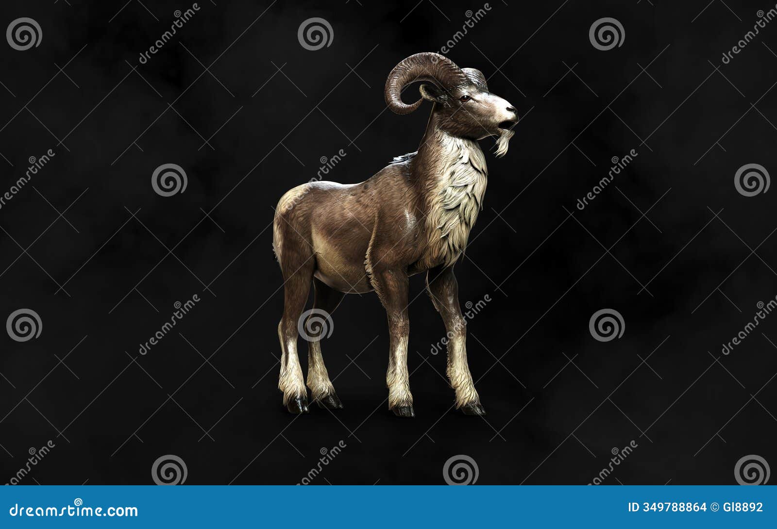 Goat Pose Isolate on Black Background with Clipping Path. Stock ...
