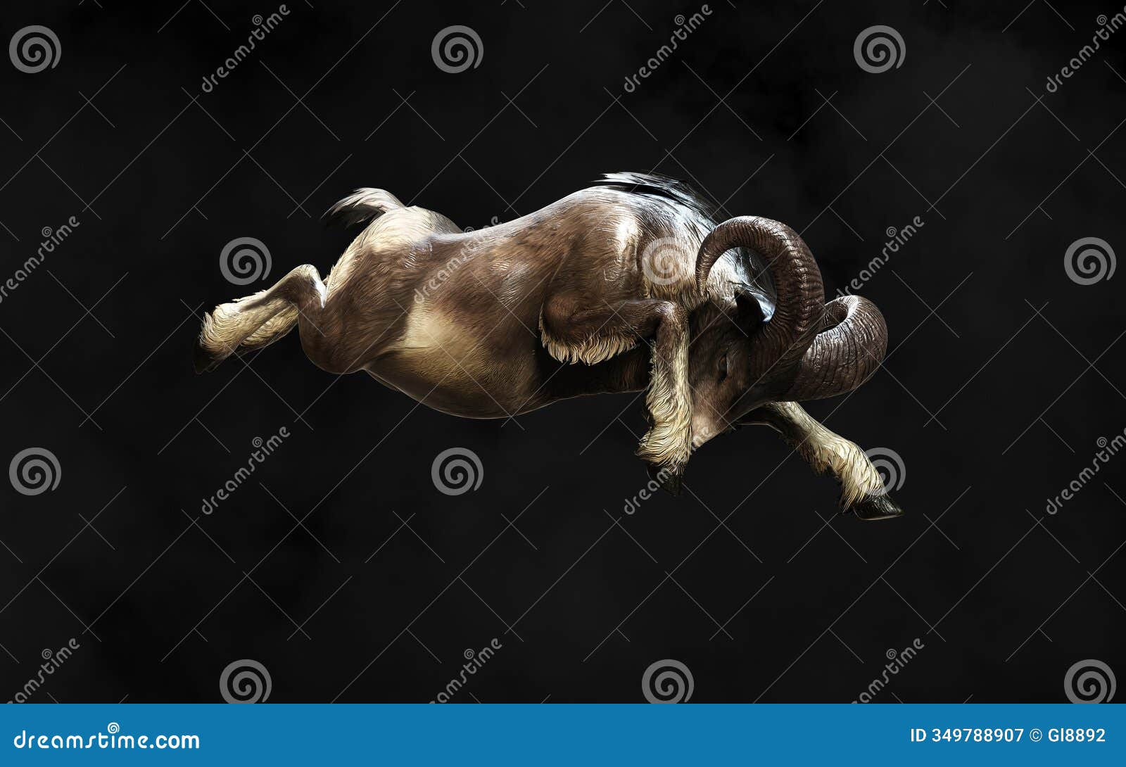 Goat Pose Isolate on Black Background with Clipping Path. Stock ...