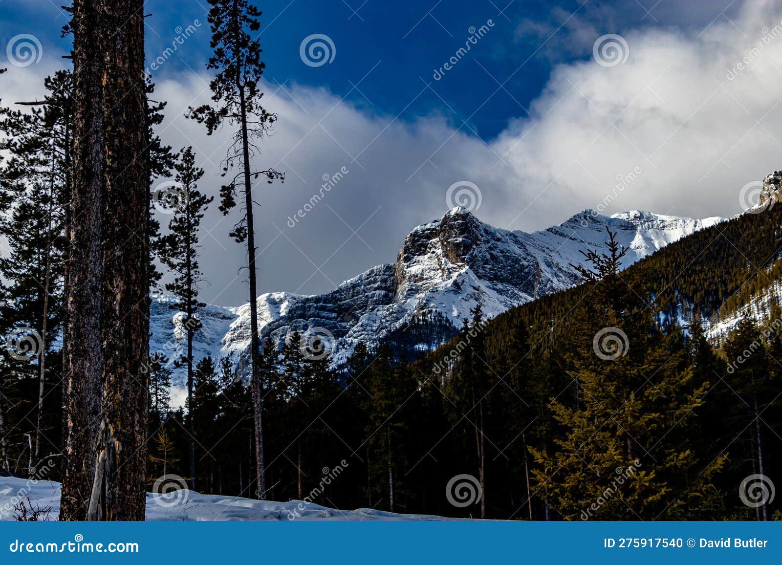 The Goat Range from Three Sisters Parkway. Canmore, Alberta, Canada ...
