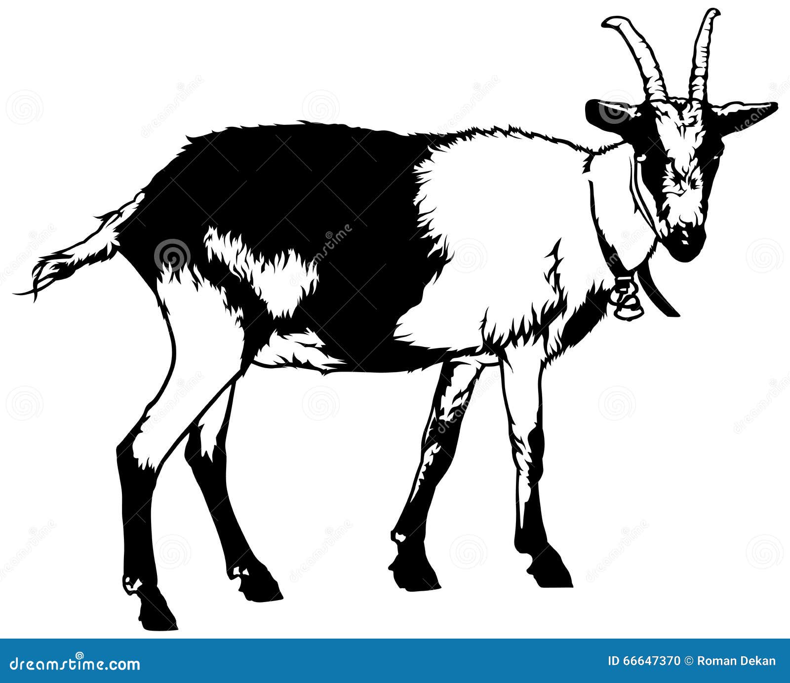 Goat from Side View stock vector. Illustration of farming - 66647370
