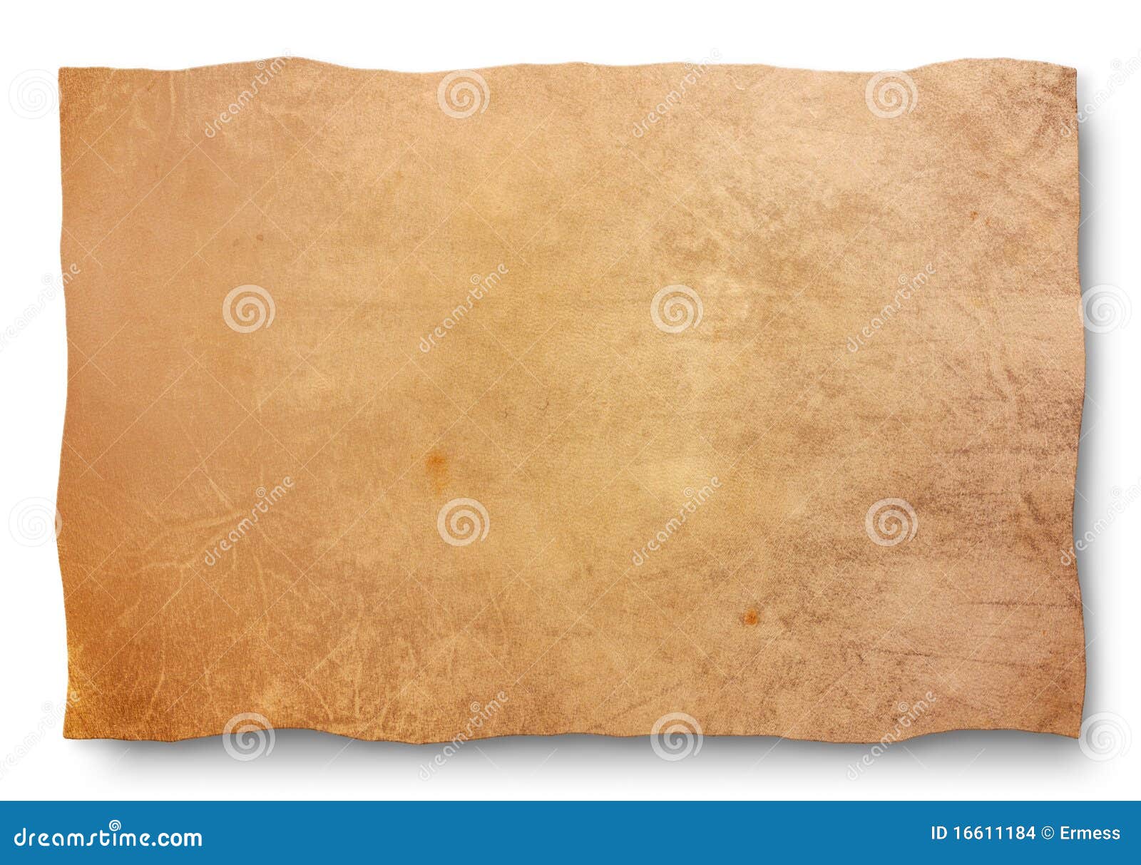Goat skin stock photo. Image of copy, isolated, announcement - 16611184