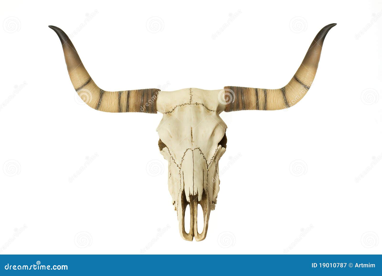 Goat Skull Royalty Free Stock Photography - Image: 19010787