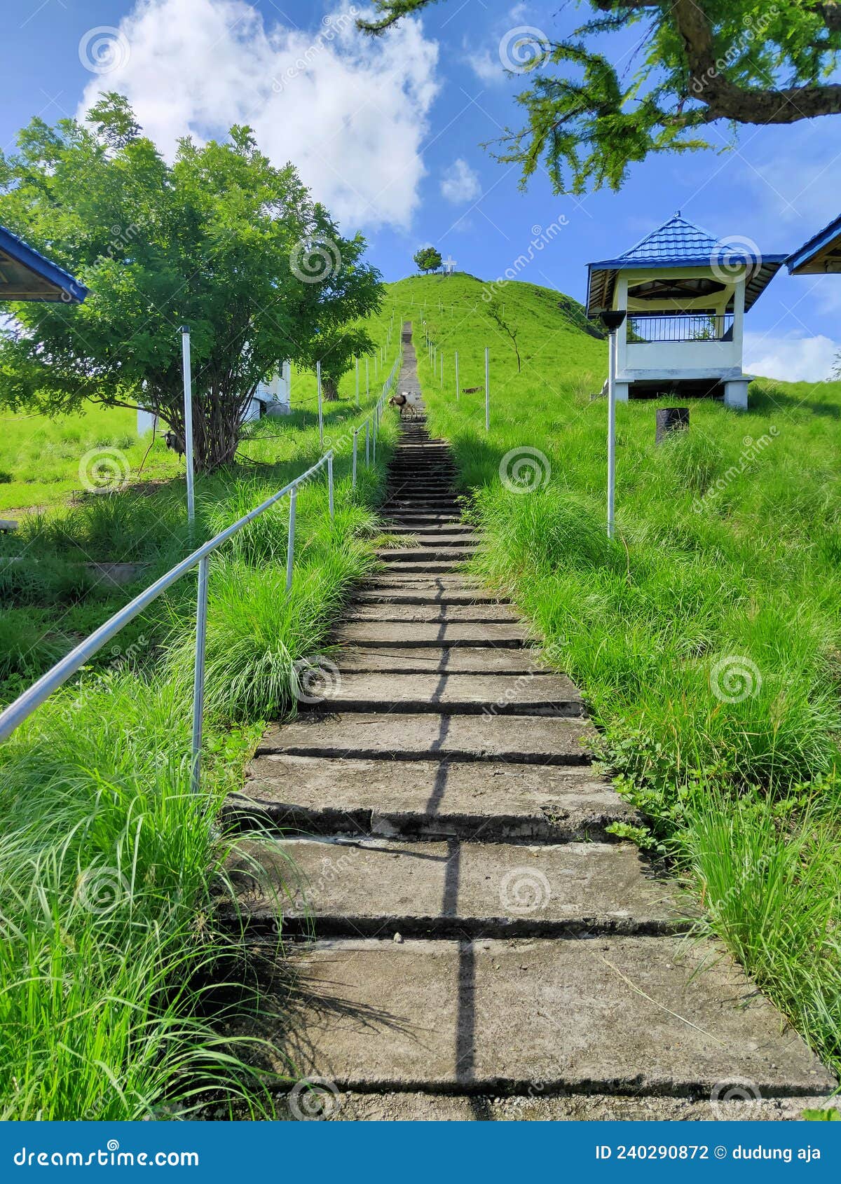 The goat at stairs stock photo. Image of nature, stair - 240290872
