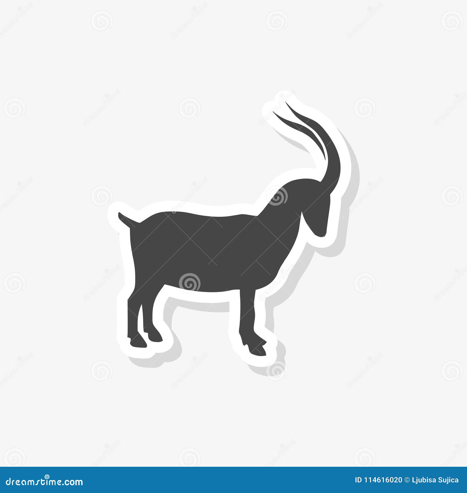 Show Goat Decal