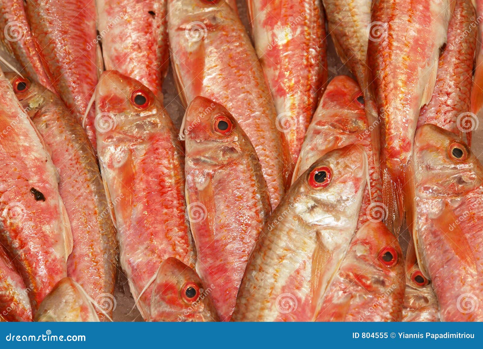 Goatfish stock image. Image of food, market, texture, taste - 804555