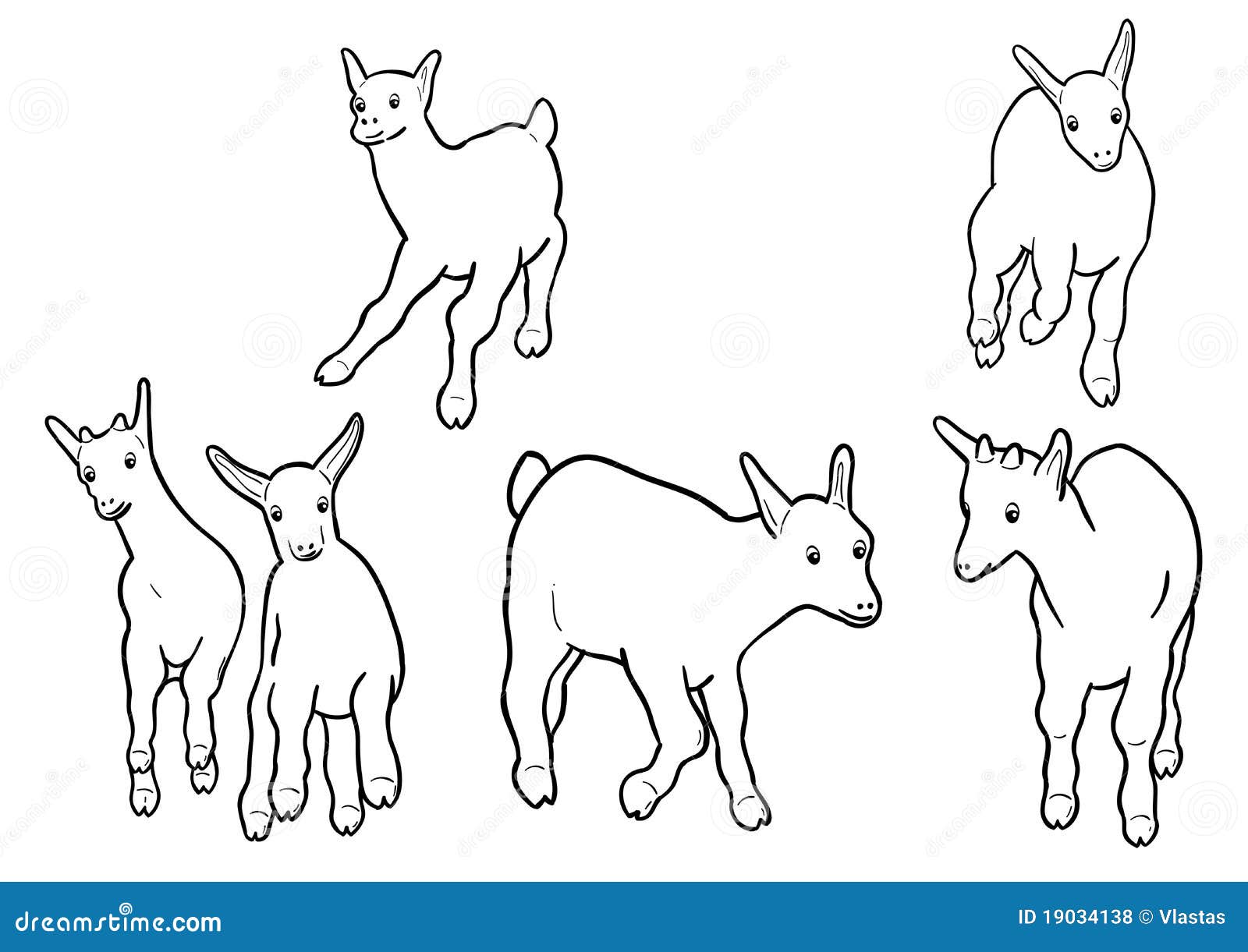 Goatling stock vector. Illustration of domestic, drawing - 19034138