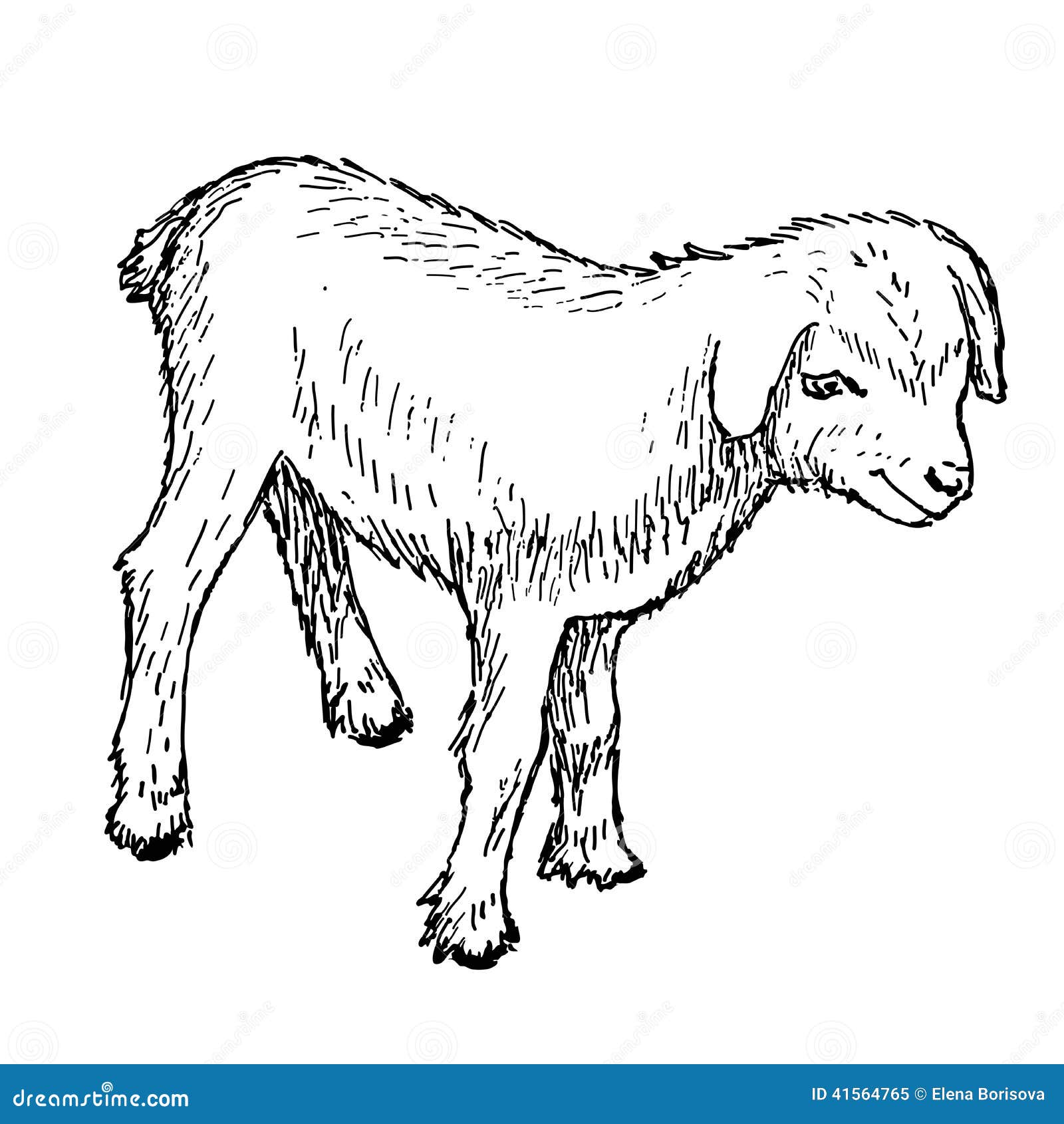 Goatling stock vector. Illustration of meat, drink, painting - 41564765