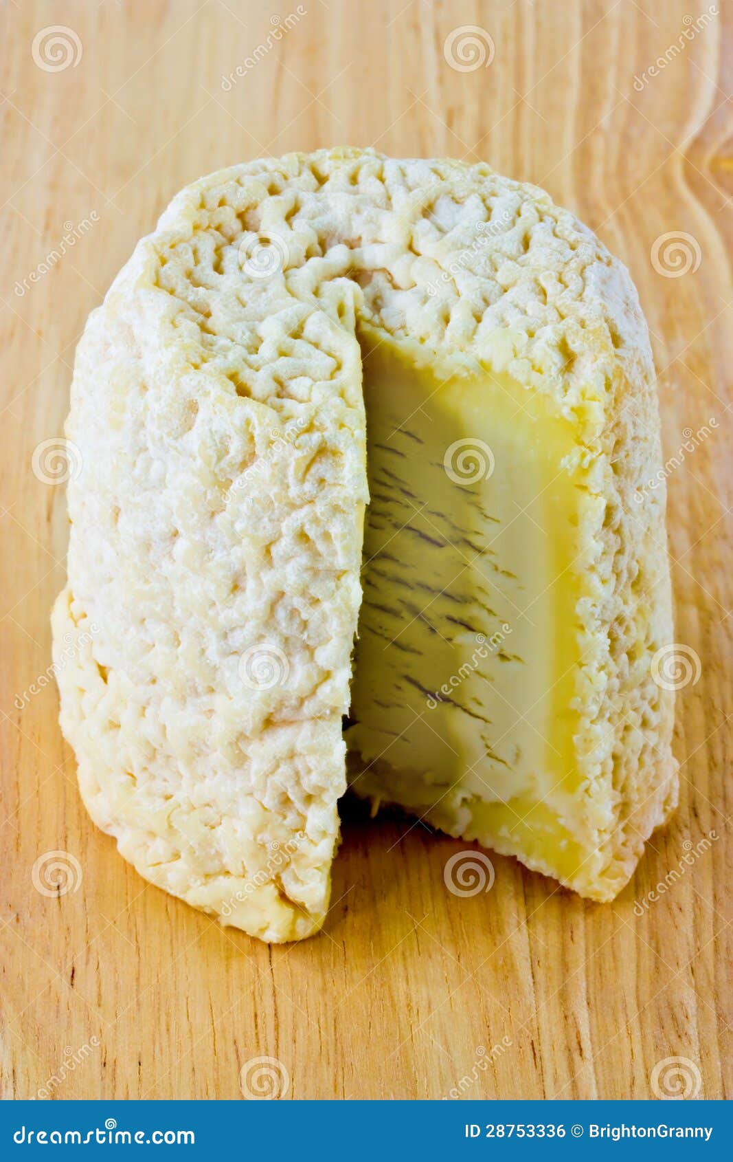 Goats cheese stock photo. Image of skin, texture, rind - 28753336