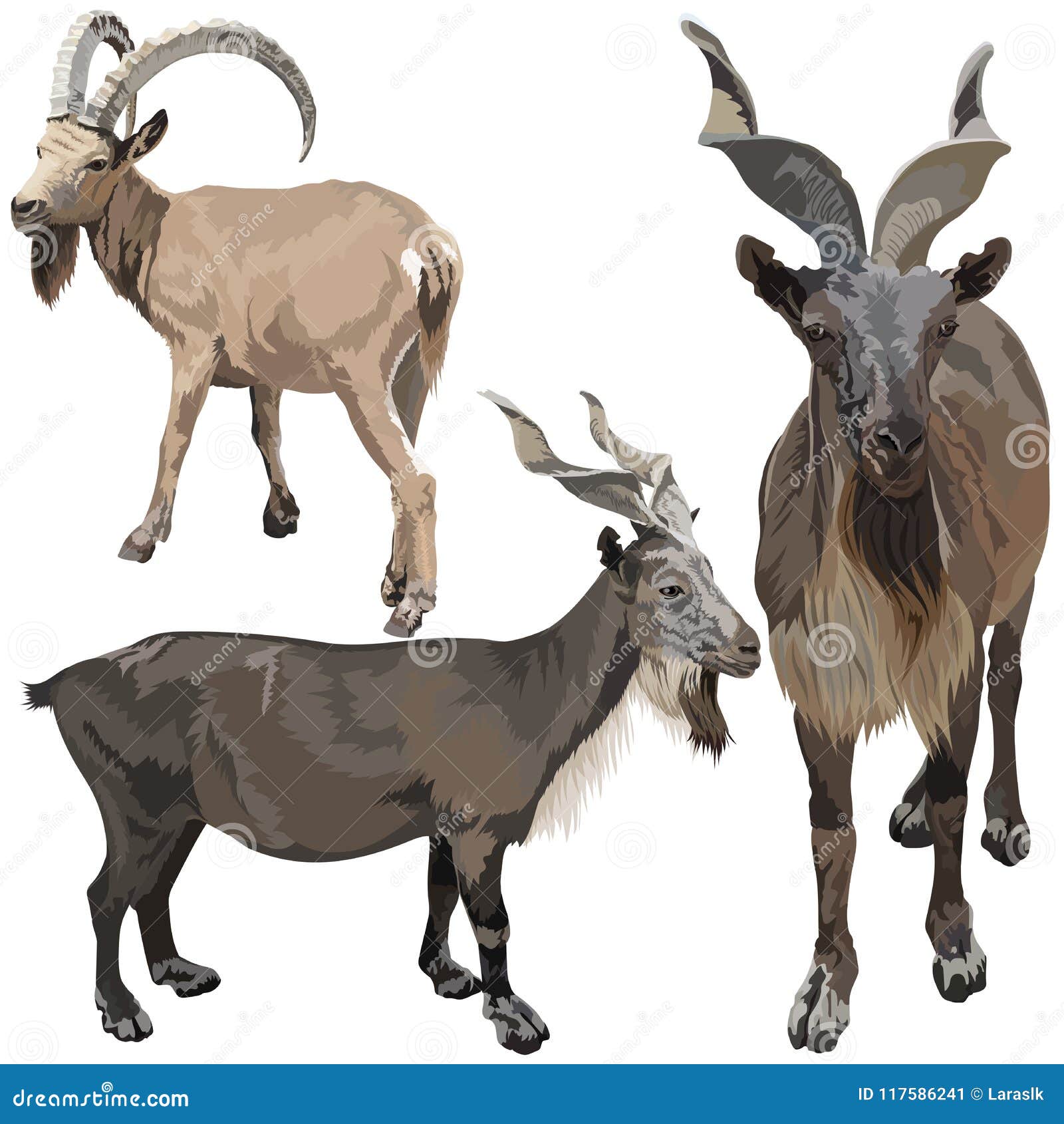 Goats in different poses stock vector. Illustration of goat - 117586241