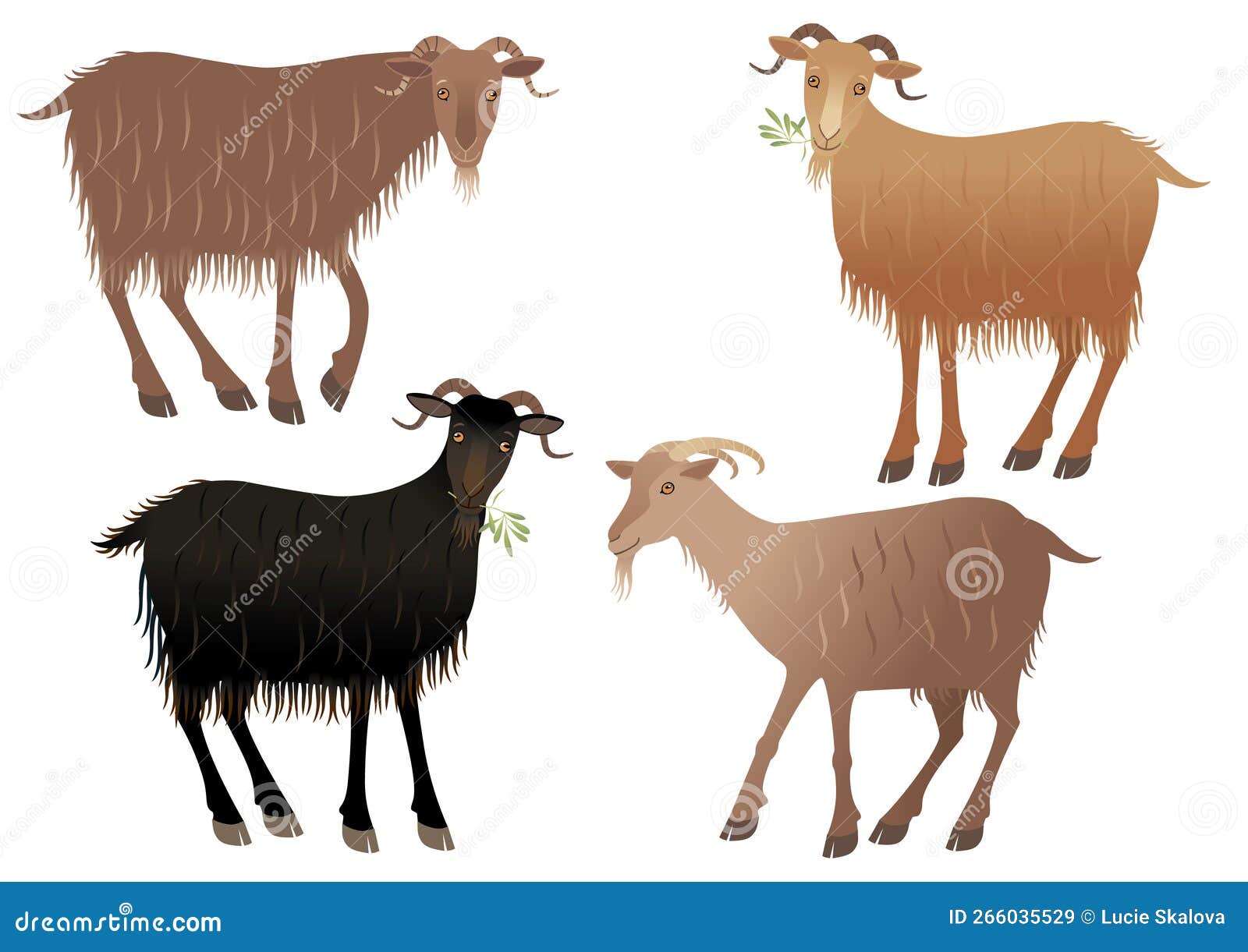 Goats Eating an Olive Branch Stock Vector - Illustration of isolated ...