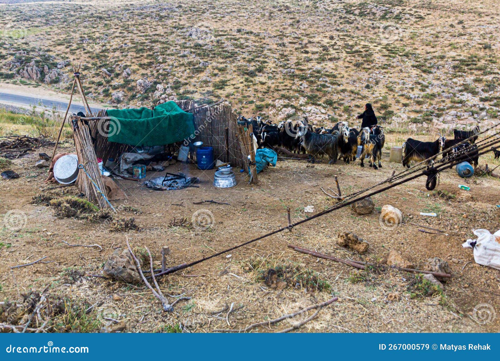 Goats in a Nomad Camp in Zagros Mountains, Ir Stock Image - Image of ...