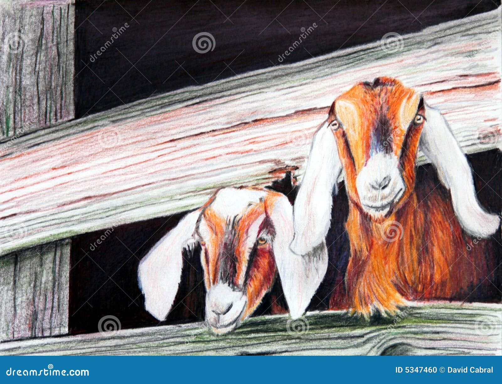 Goats Painting stock photo. Image of mammals, background - 5347460