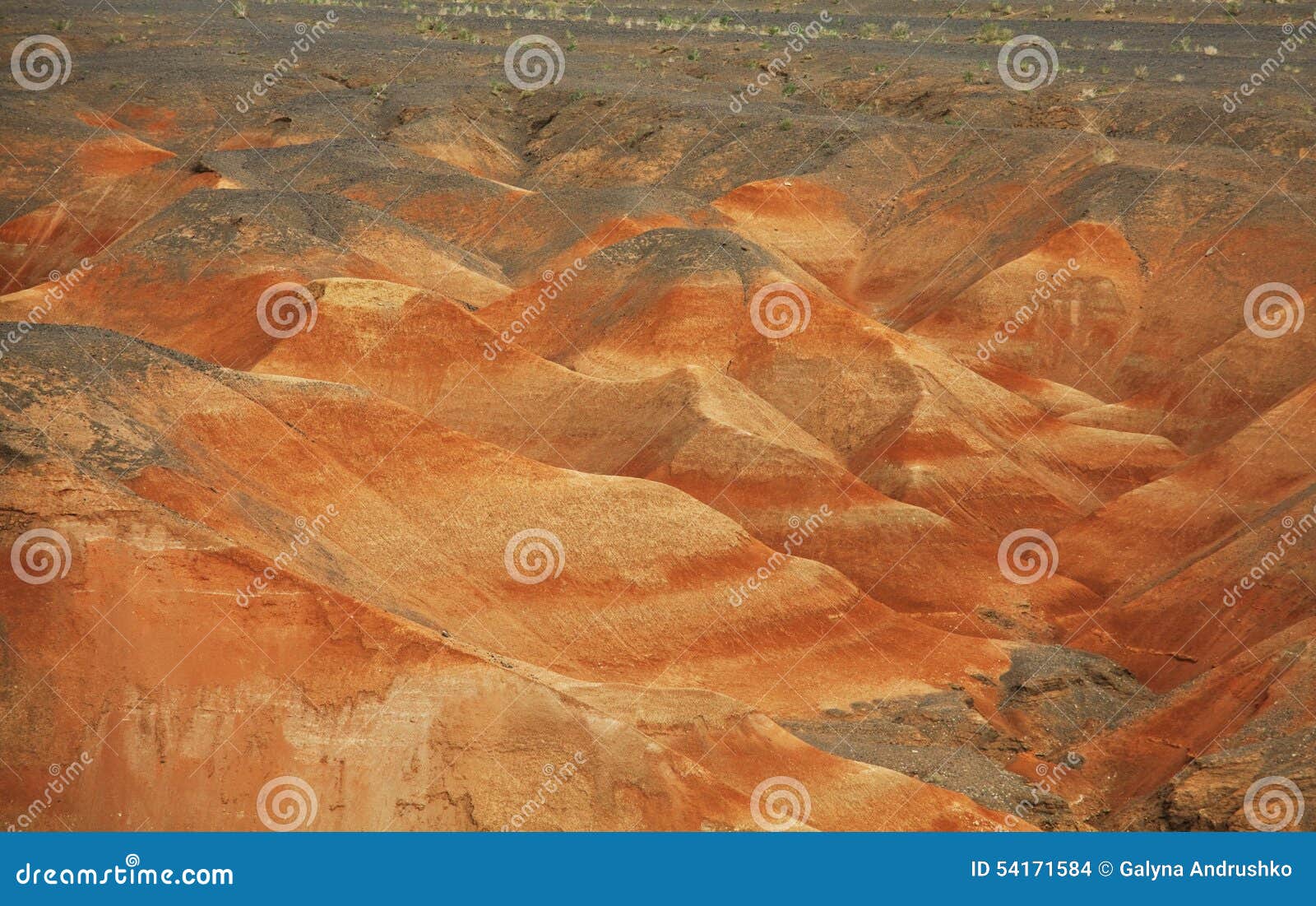 Gobi Desert Paint Schemes