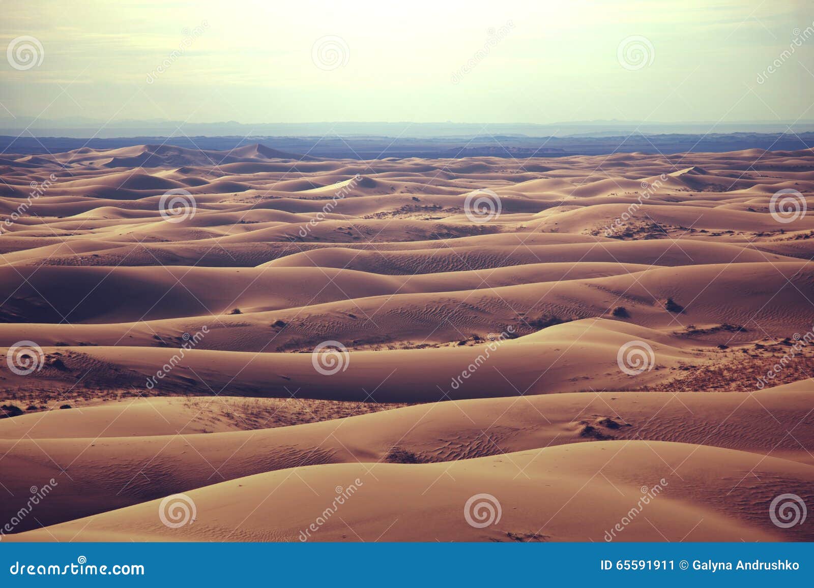 Gobi stock image. Image of sunrise, hummock, natural - 65591911