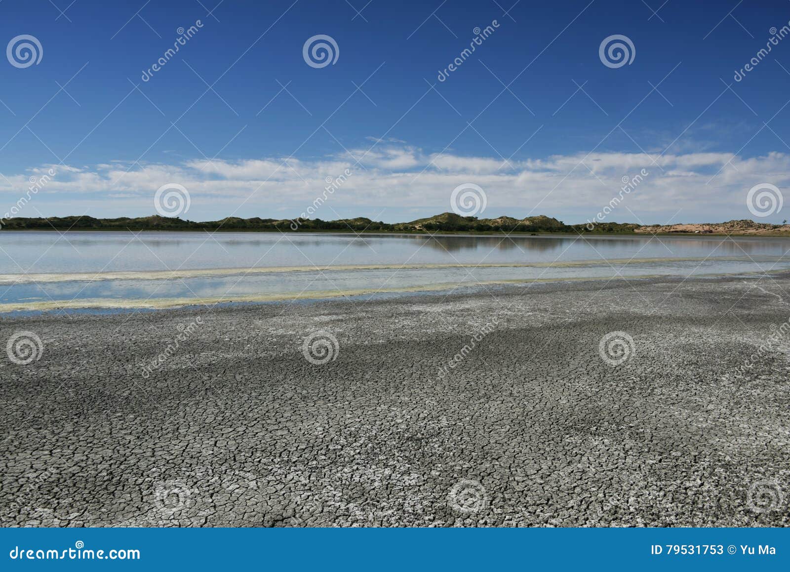 The Gobi stock image. Image of desert, cloud, salt, flower - 79531753