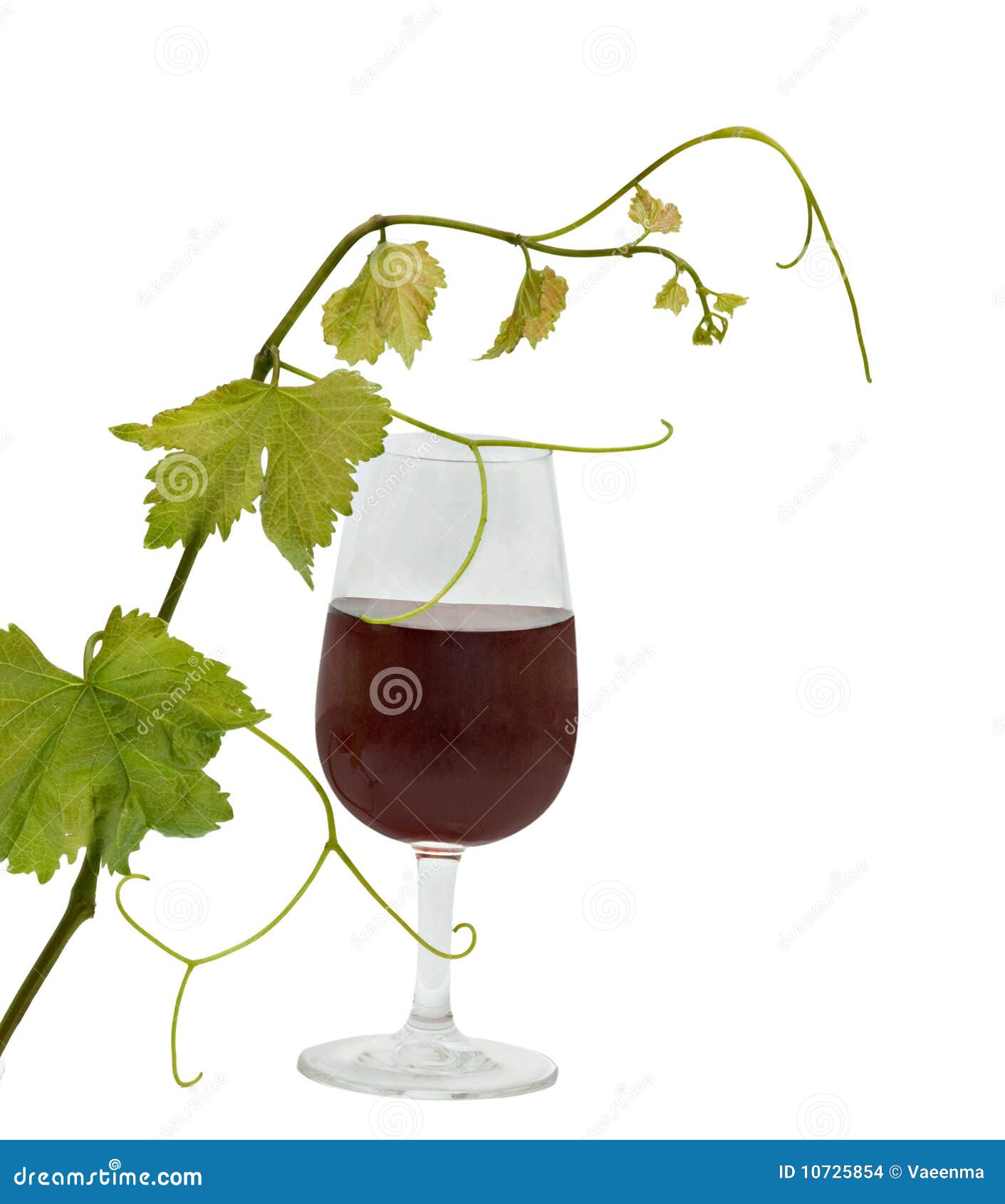 Goblet with red wine stock photo. Image of plant, wine - 10725854