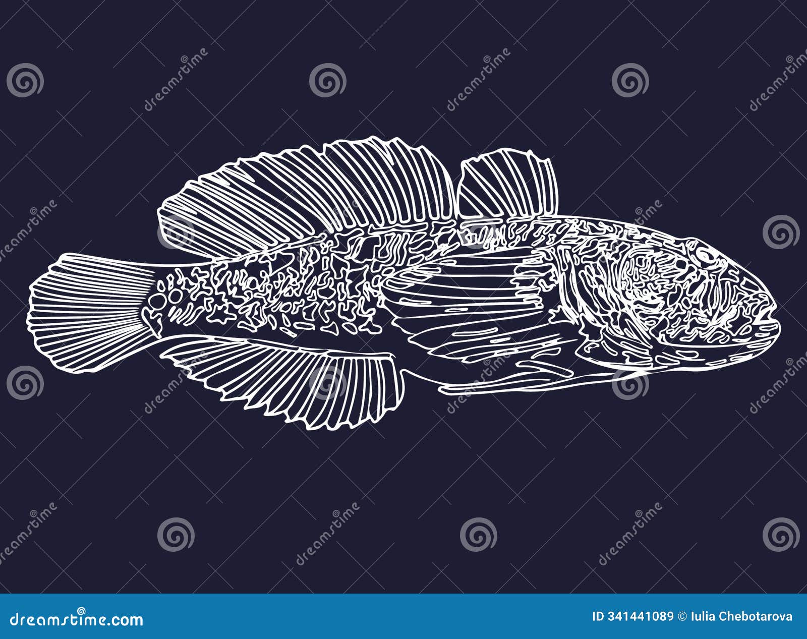 Goby Fish Isolated in White Line, Doodle Stock Vector - Illustration of ...