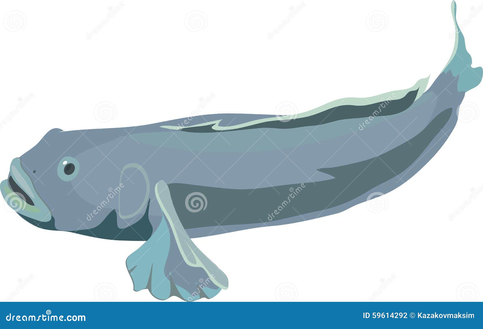 Goby stock vector. Illustration of animal, nature, wildlife - 59614292