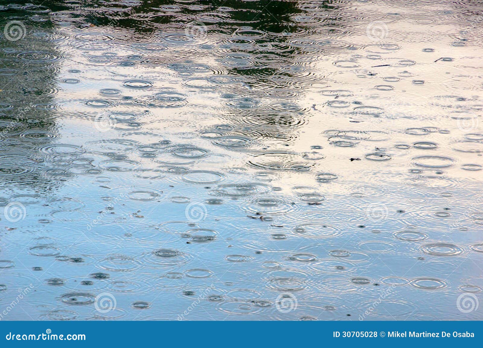 Gocce Di Pioggia in Una Pozza Fotografia Stock - Immagine di caduta ...
