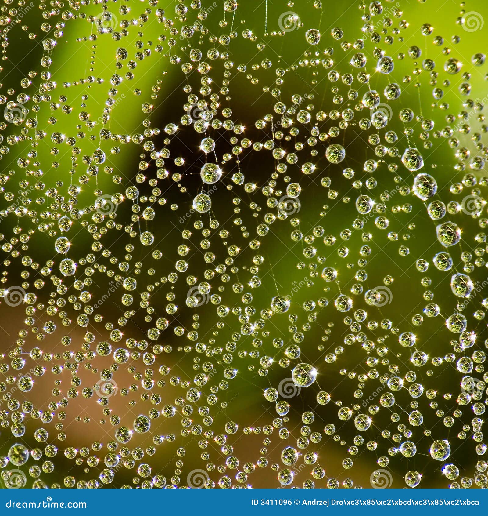 Gocce di rugiada fotografia stock. Immagine di riflessioni - 3411096