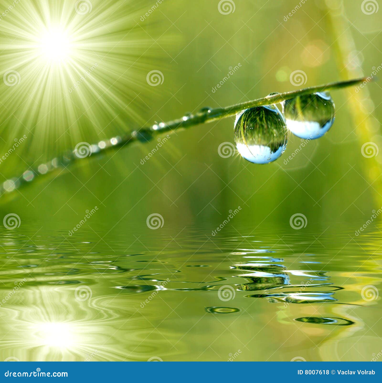 Gocce di rugiada fotografia stock. Immagine di pioggia - 8007618