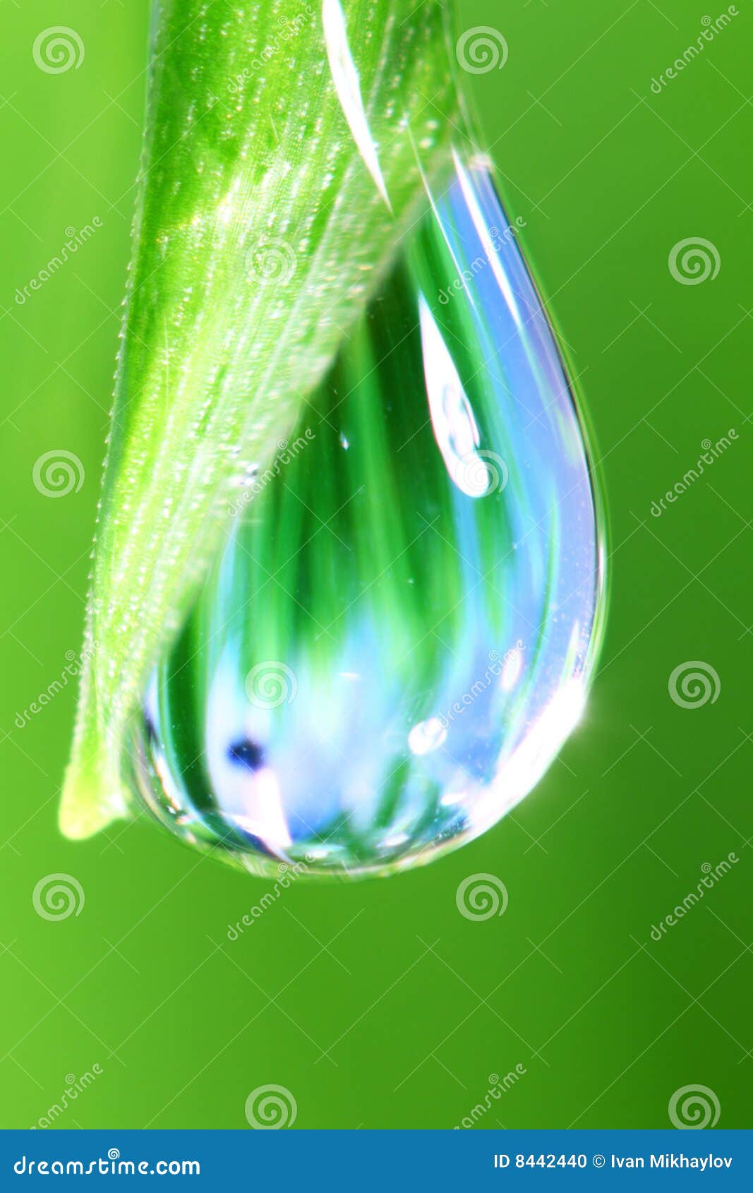 Goccia Dell'acqua Della Rugiada Fotografia Stock - Immagine di colore ...