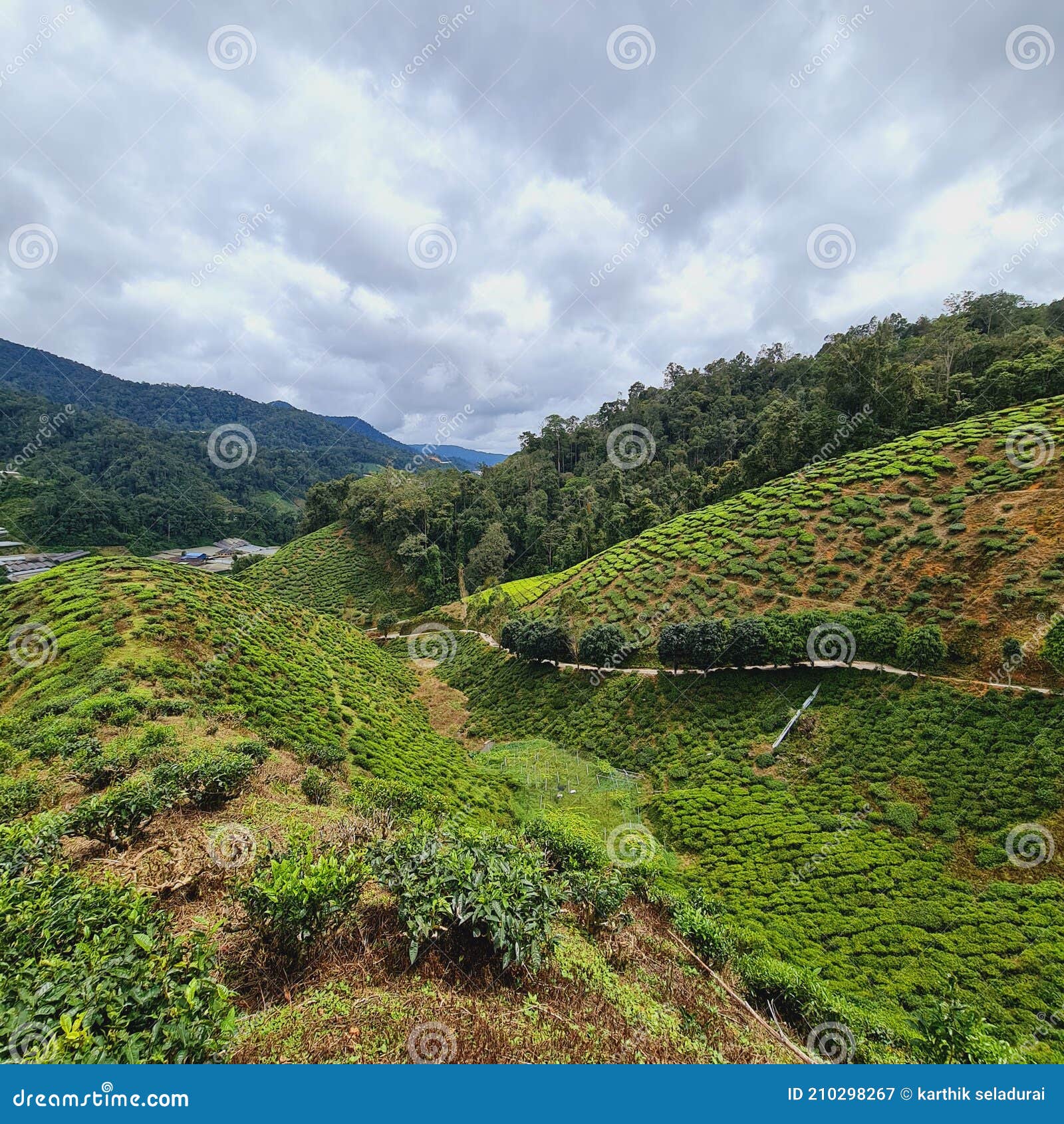 God best creation ever stock image. Image of creation - 210298267