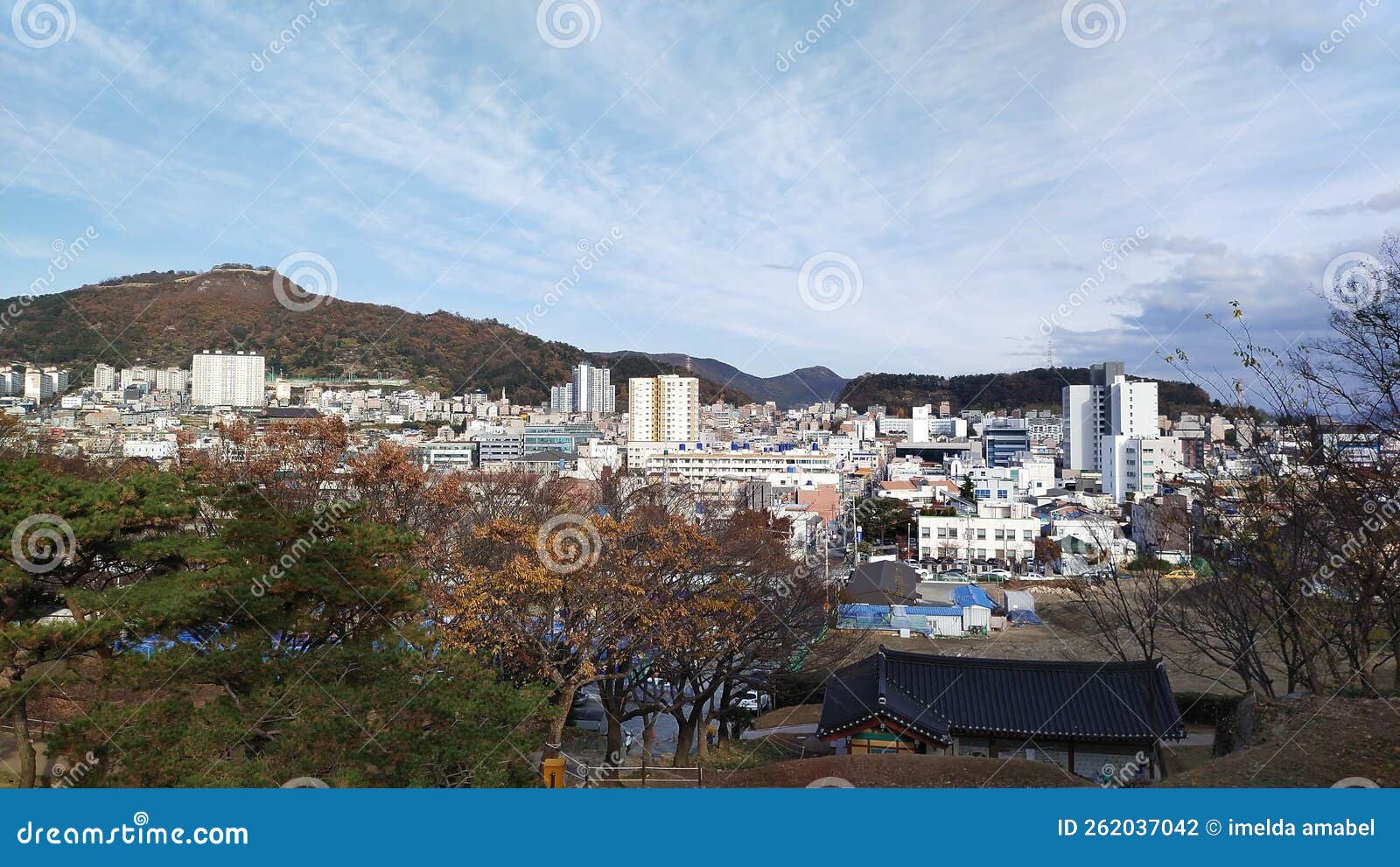 God bless the city stock photo. Image of praise, tree - 262037042