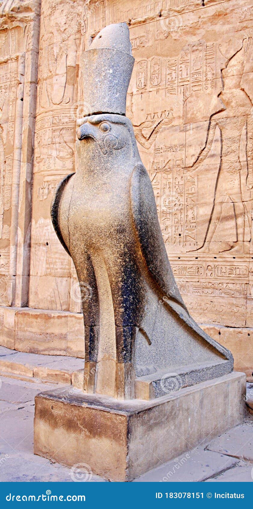 GOD FALCON in EGYPTIAN TEMPLE Stock Image - Image of bird, luxor: 183078151