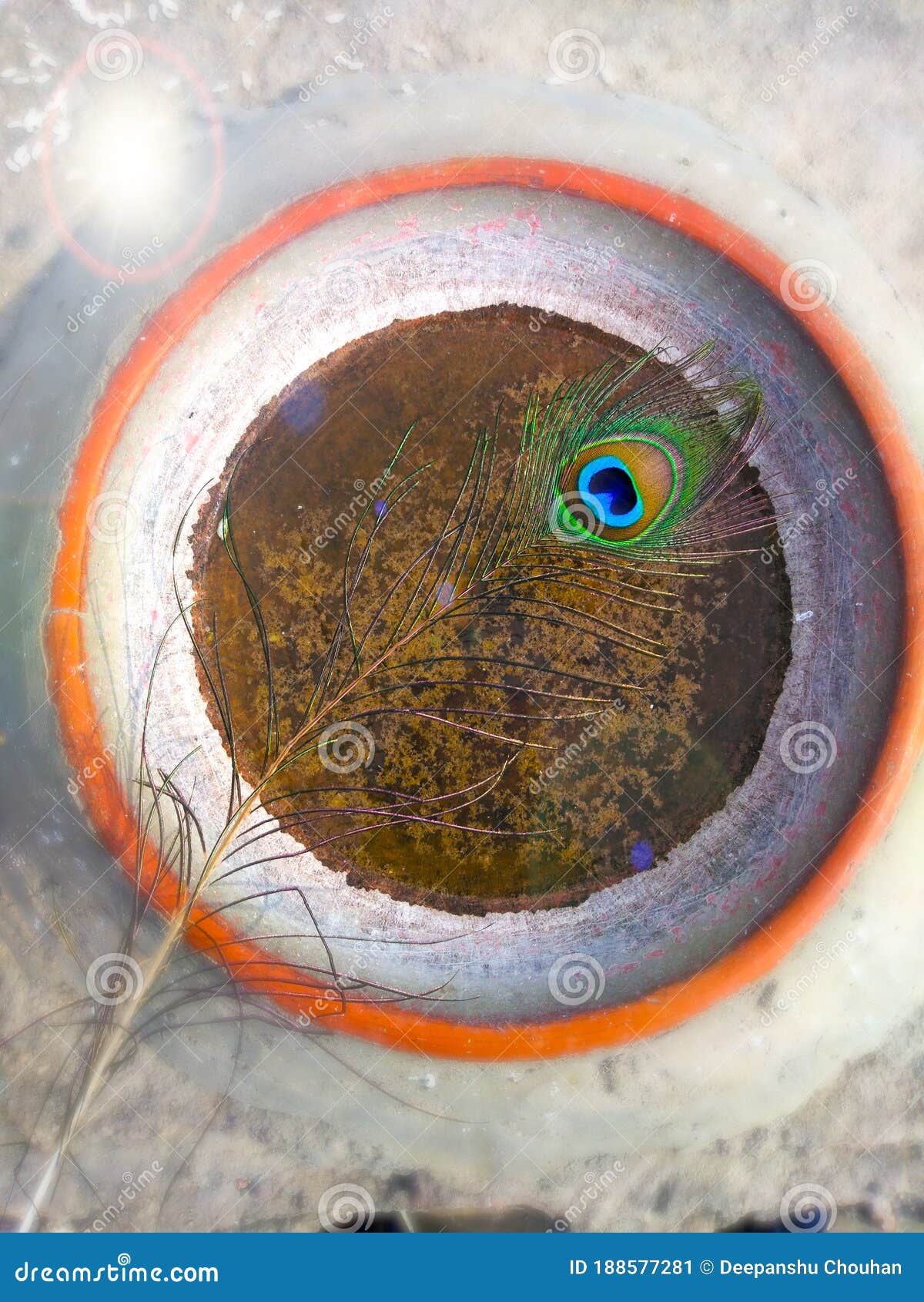 God krishna maur pankh stock image. Image of sunlightp - 188577281