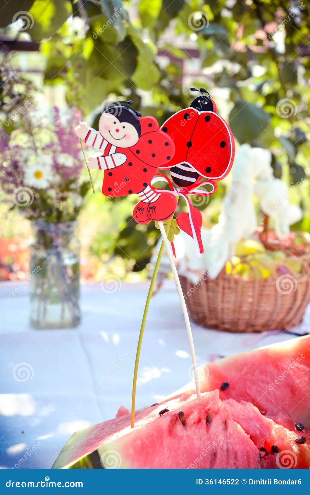 God ladybugs on watermelon stock photo. Image of insects - 36146522