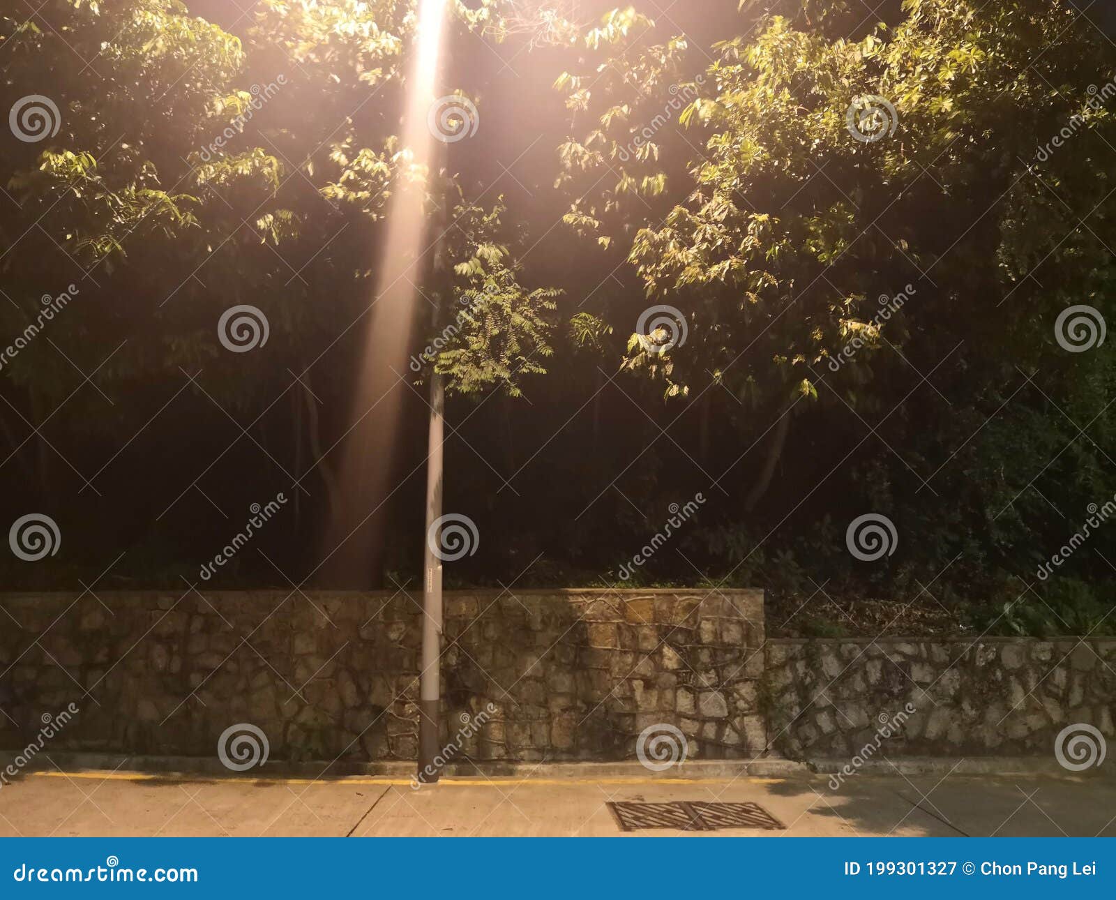 God light in an empty path stock image. Image of sunset - 199301327