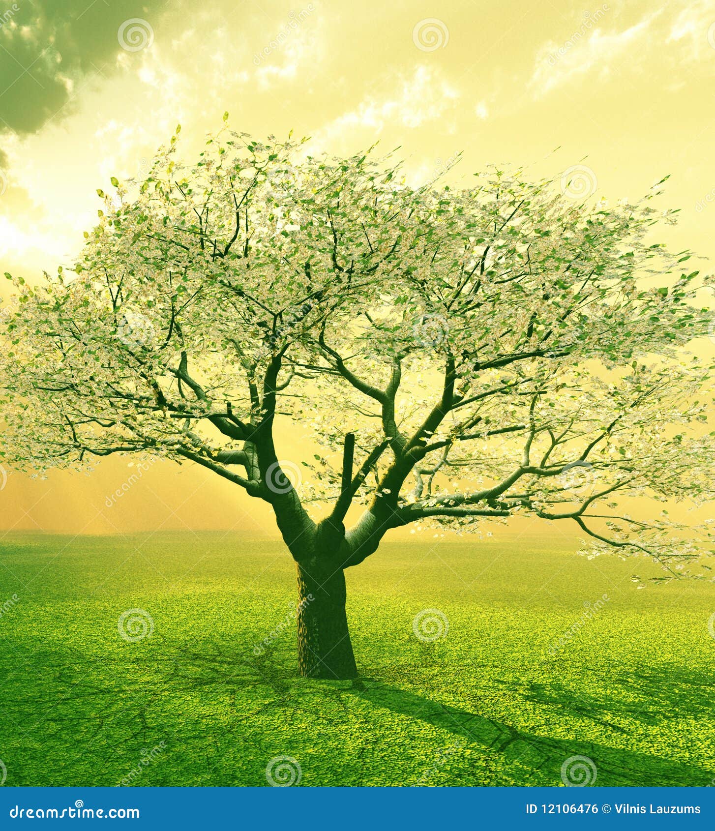 God rays stock illustration. Illustration of morning - 12106476