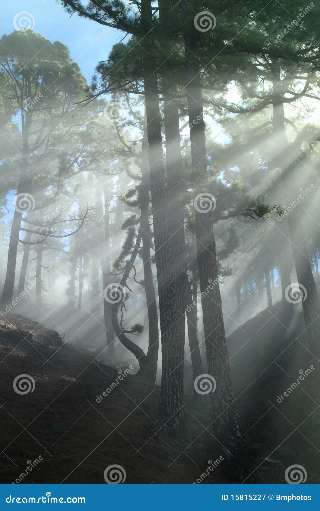 God Rays 3 stock image. Image of atmosphere, wellness - 15815227