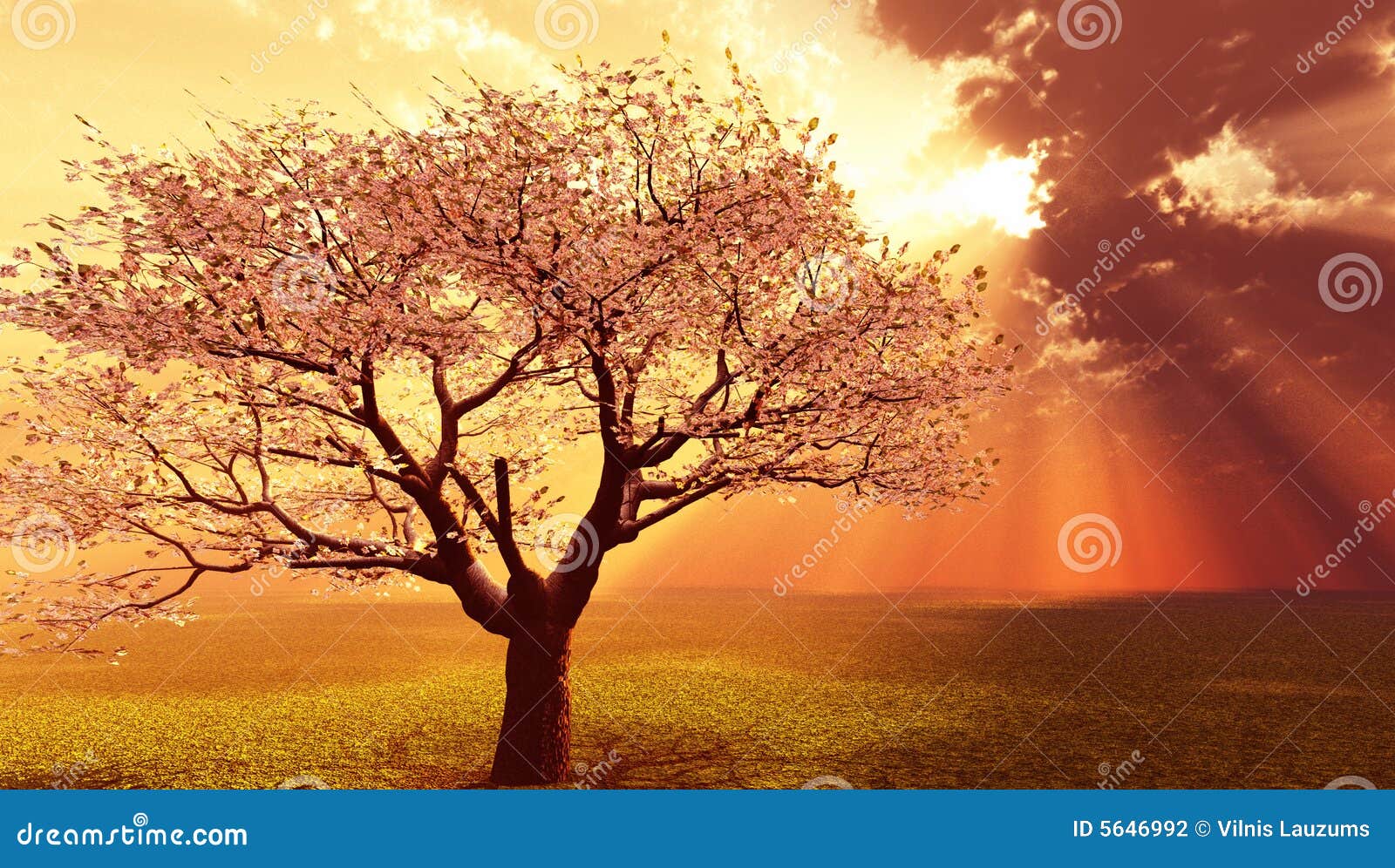 God rays stock illustration. Illustration of landscape - 5646992