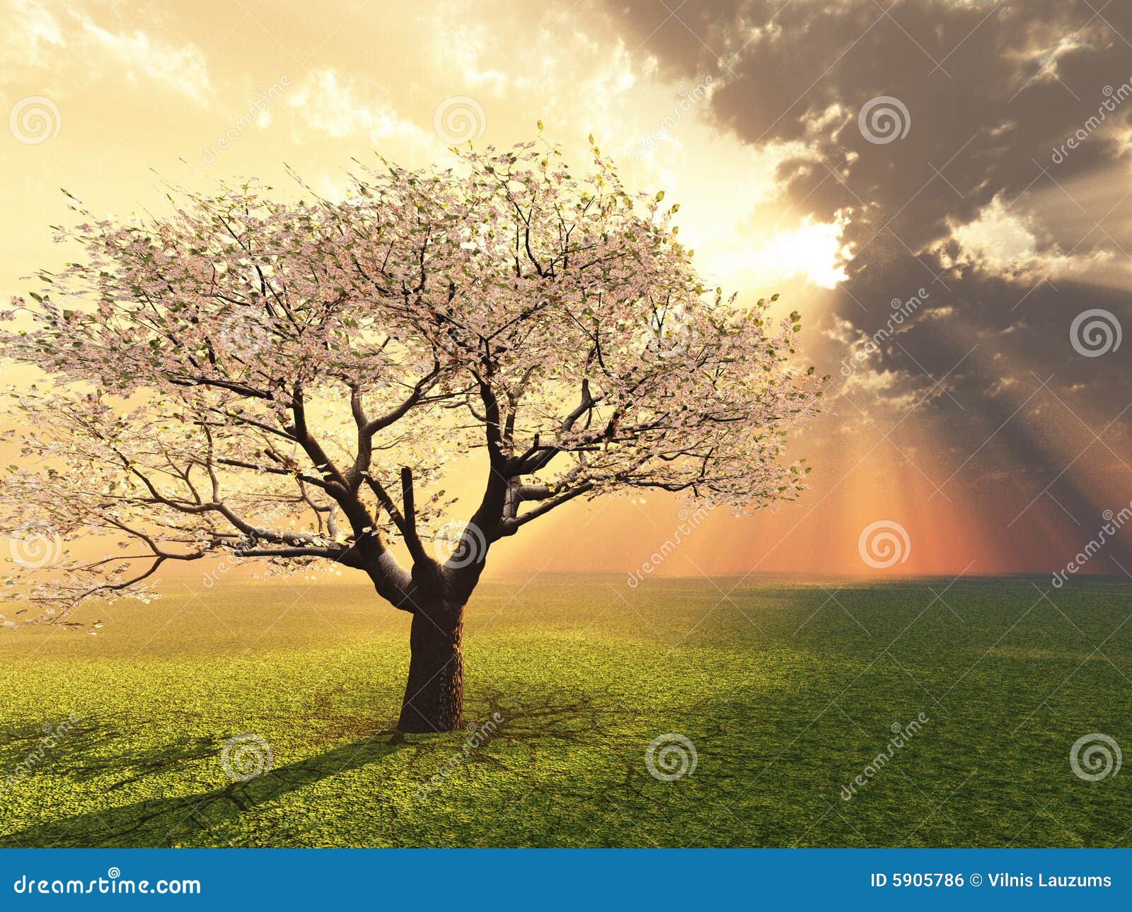 God rays stock illustration. Illustration of beautiful - 5905786