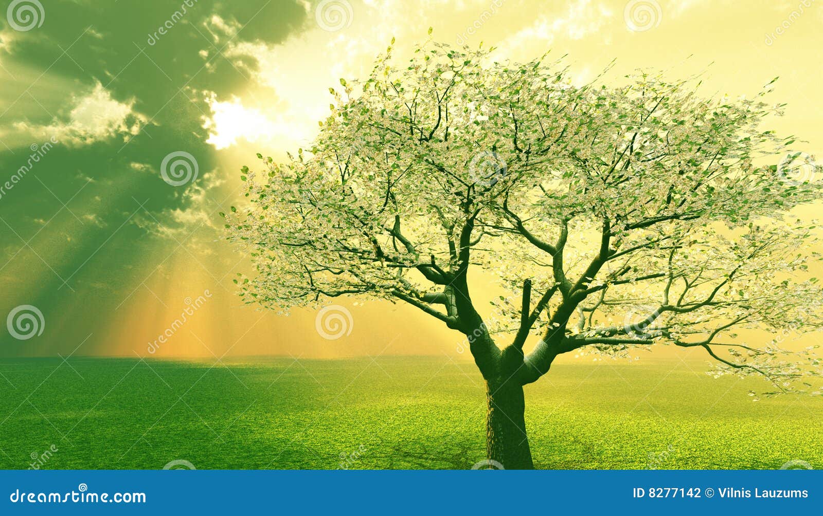 God rays stock illustration. Illustration of backdrop - 8277142