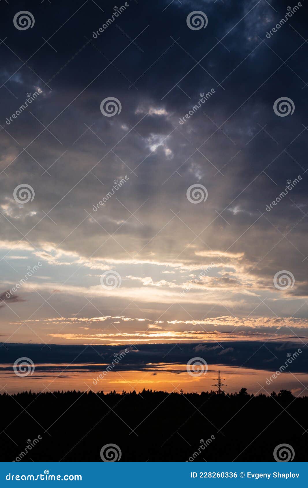 God rays on the forest stock photo. Image of beauty - 228260336