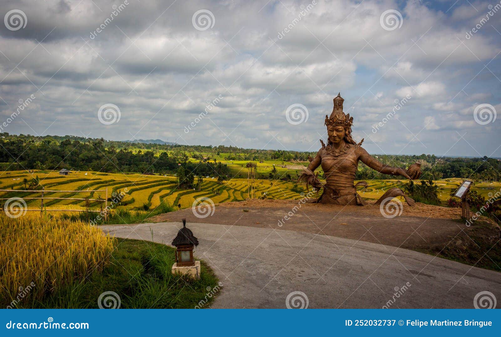 Goddess Protecting the Rice Fields Editorial Photography - Image of ...
