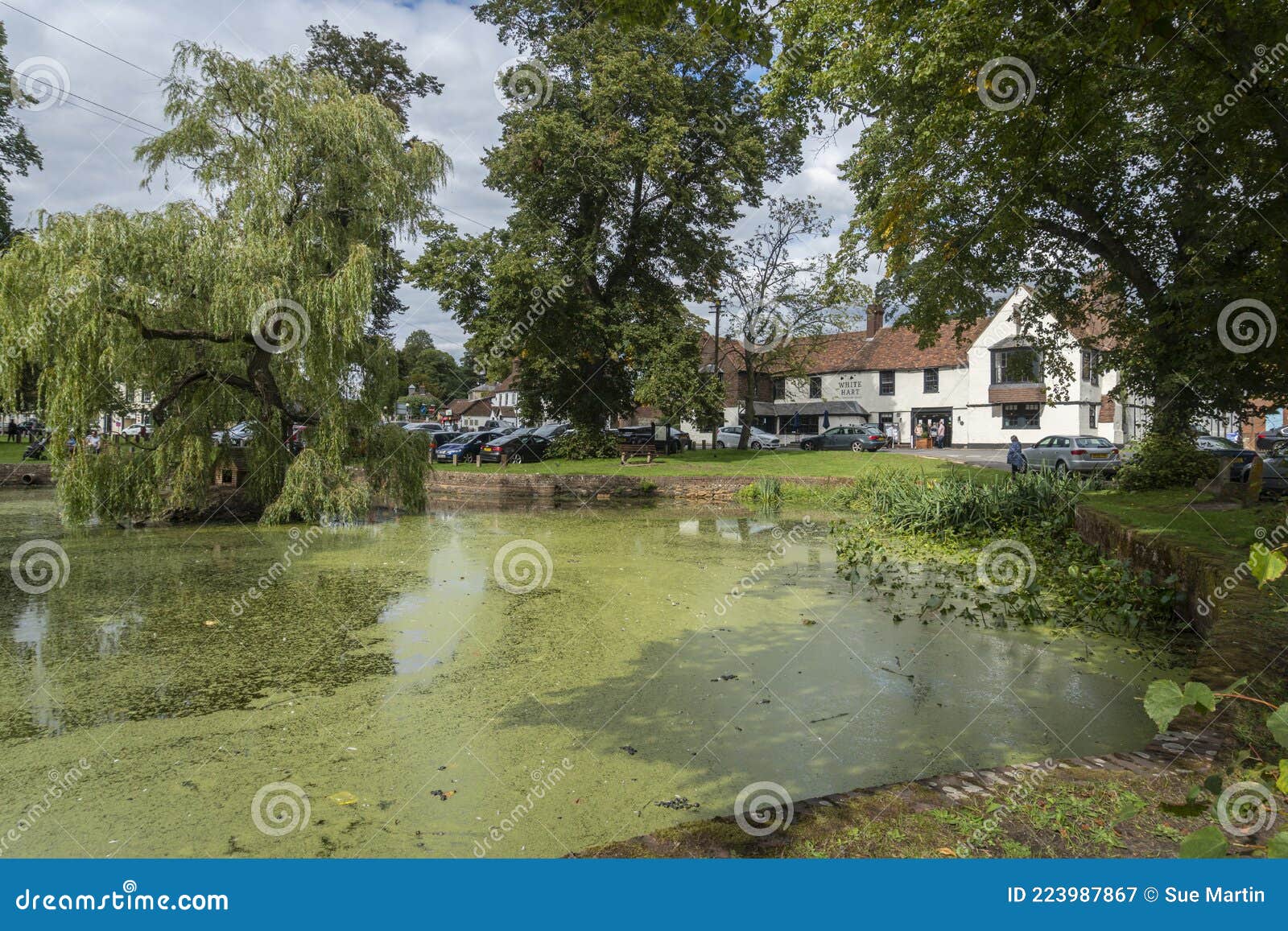 Godstone Green Pond, UK editorial photography. Image of britain - 223987867