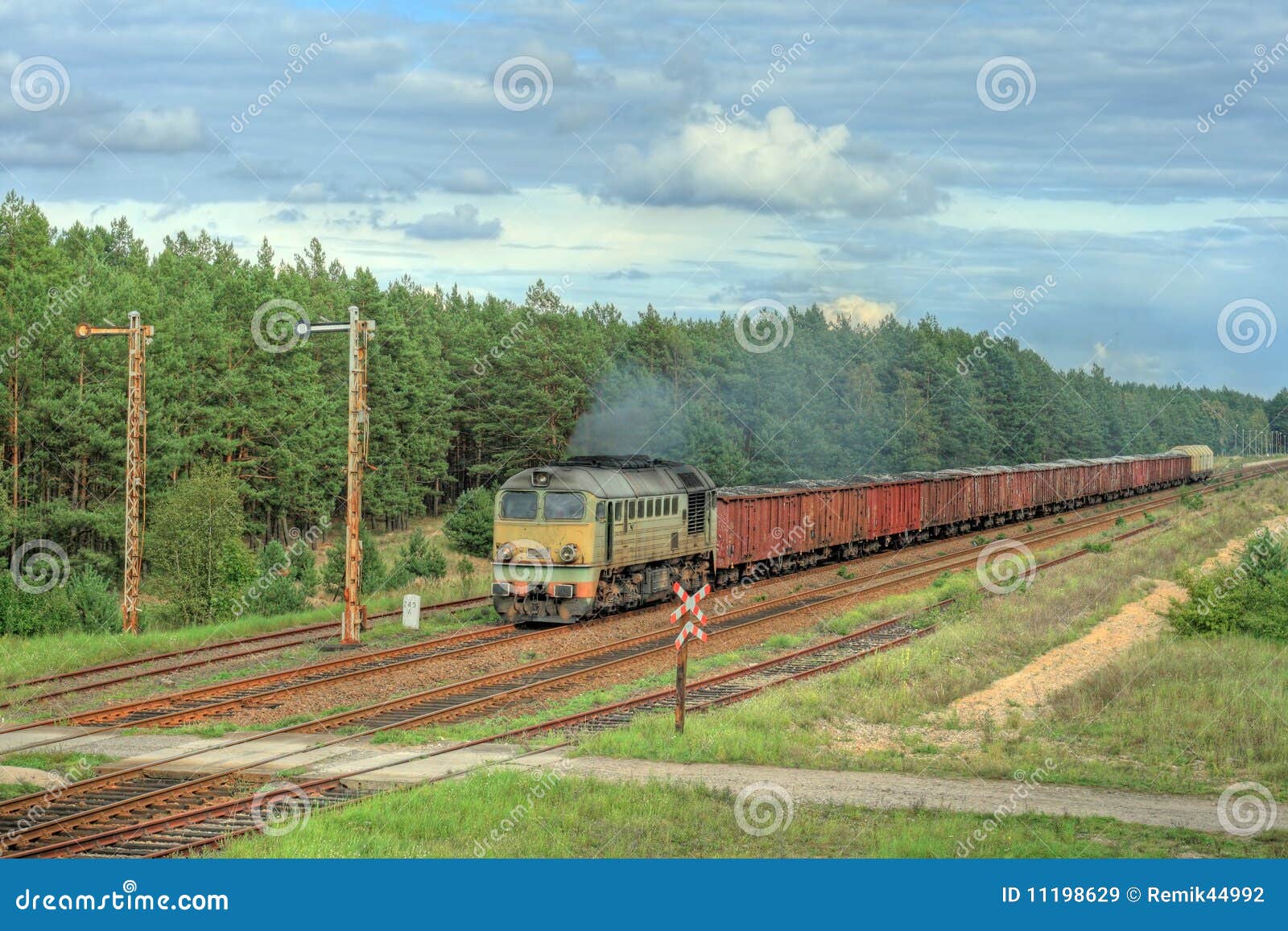Goederentrein Die Het Bos Overgaat Stock Afbeelding - Image of daglicht ...