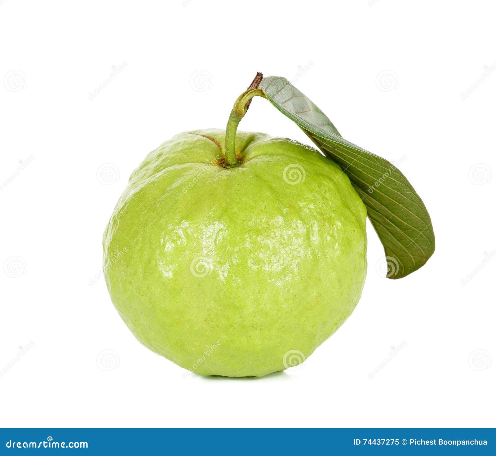 Goiaba Isolada No Fundo Branco Imagem de Stock - Imagem de vitamina ...