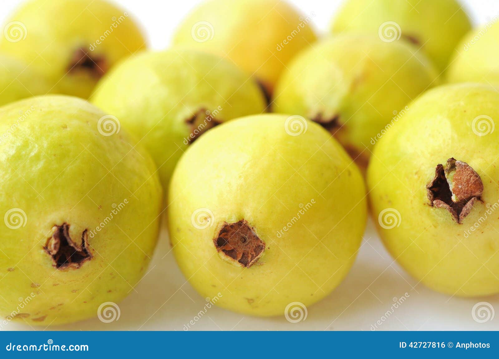 Goiaba madura foto de stock. Imagem de crocante, fruta - 42727816