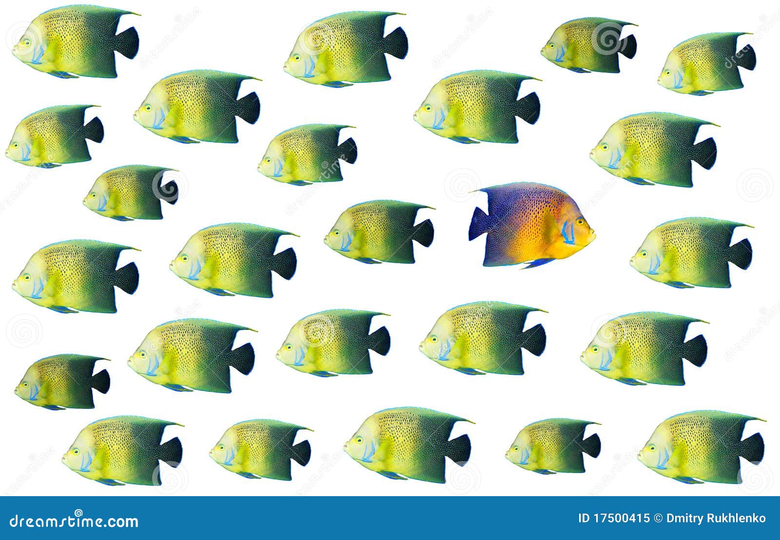 Going different way stock image. Image of abstract, direction - 17500415