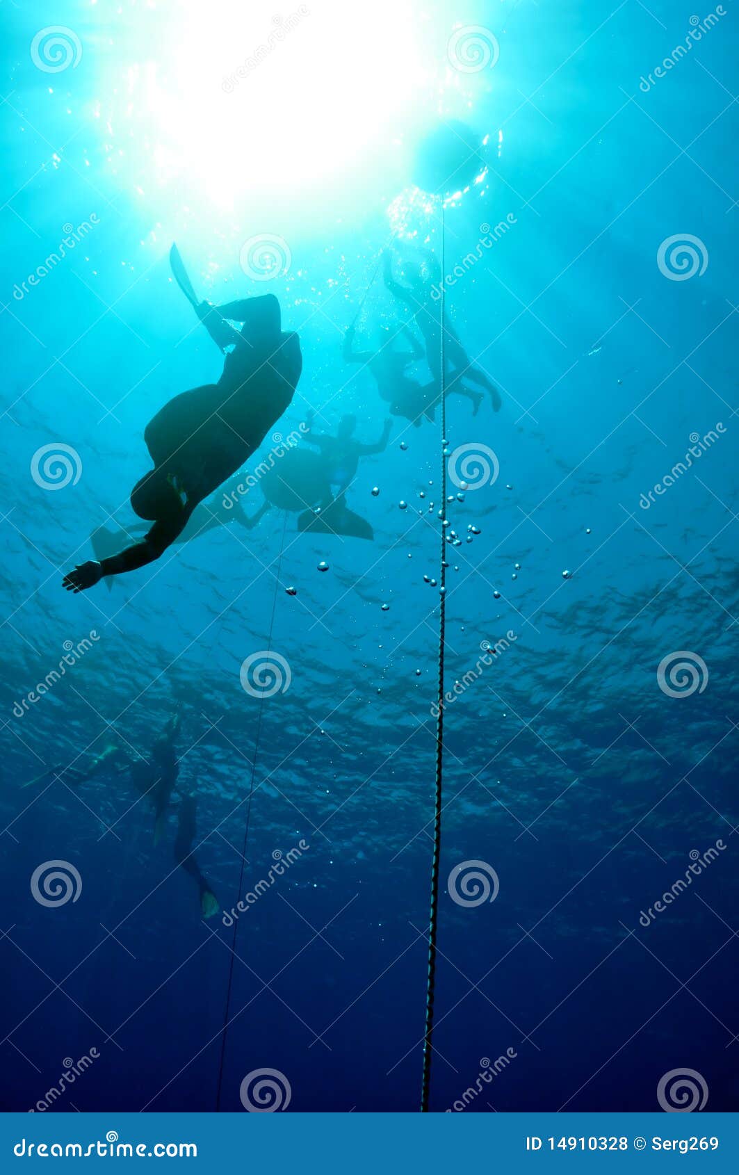 Going down stock photo. Image of diving, monofin, dive - 14910328