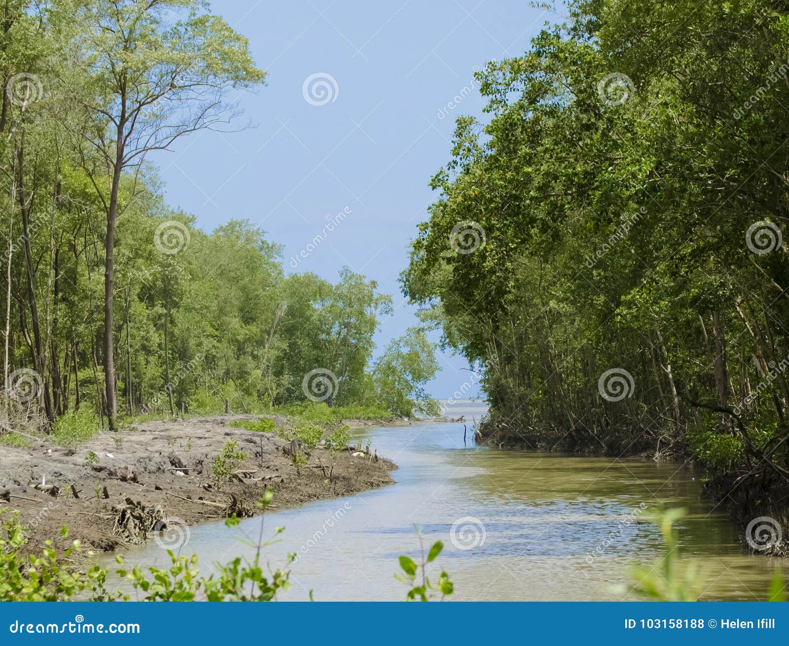 Caparo Stock Photos - Free & Royalty-Free Stock Photos from Dreamstime