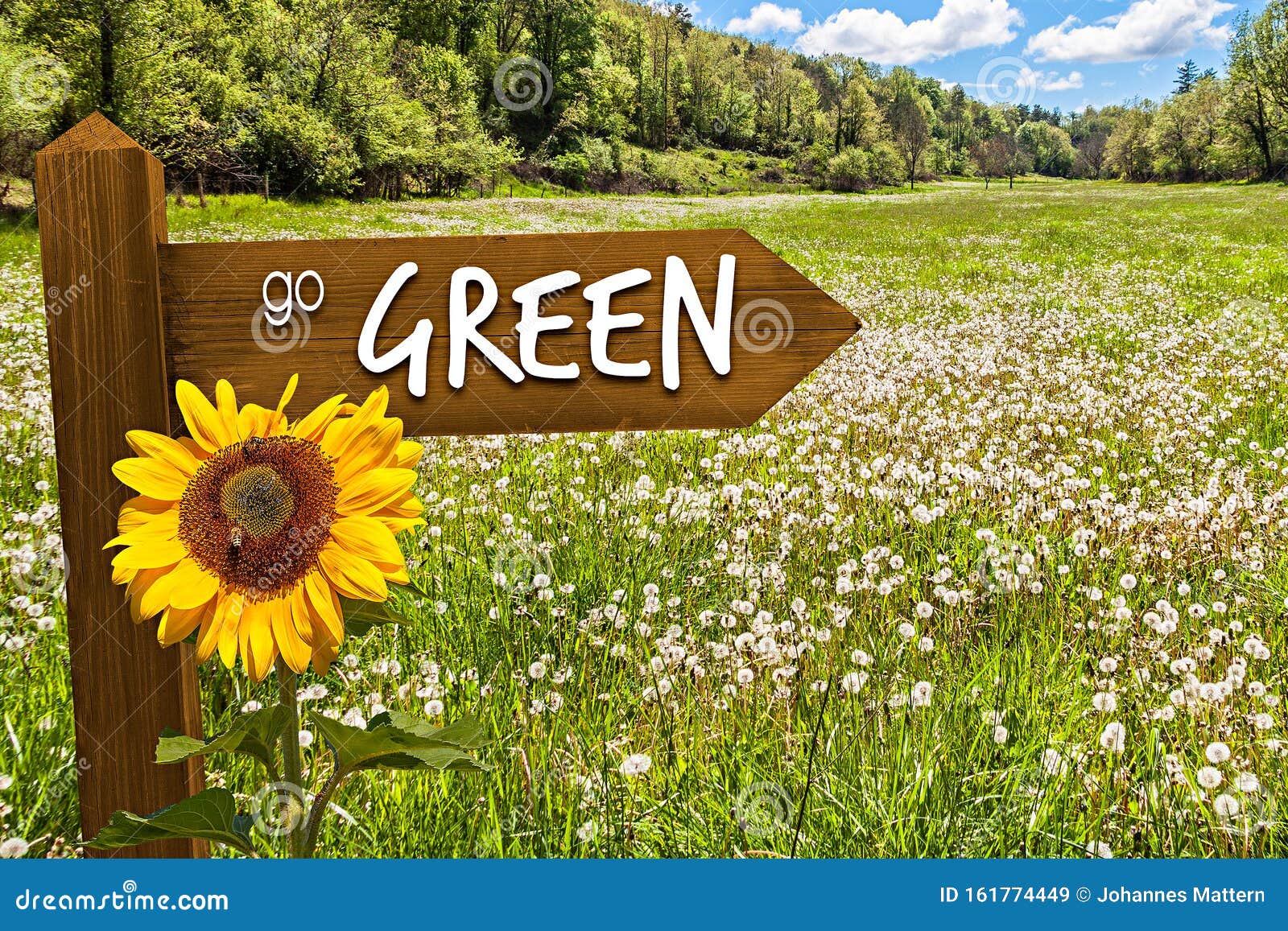 Going Green Concept stock image. Image of environment - 161774449