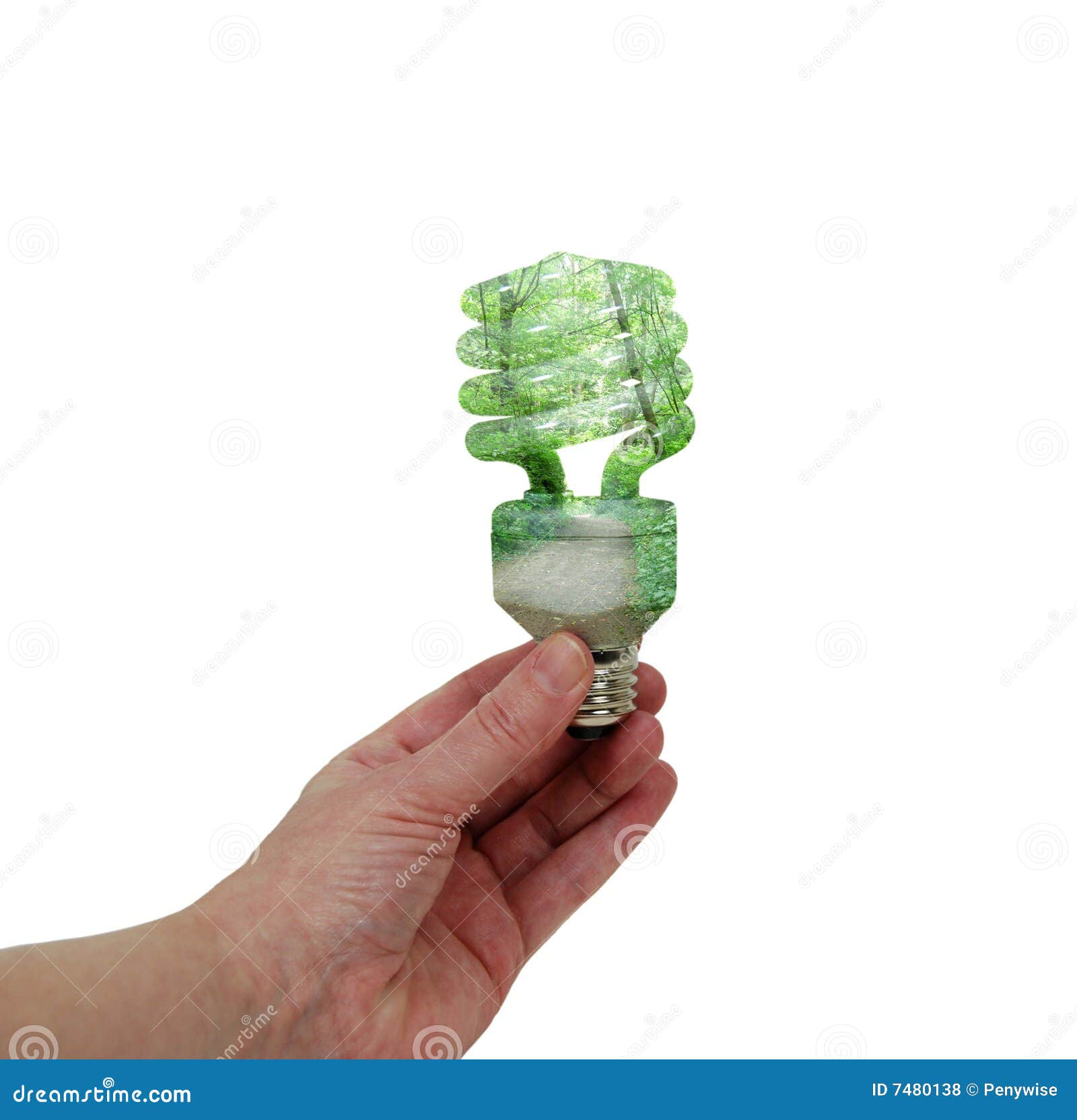 Going Green Lightbulb stock photo. Image of efficient - 7480138