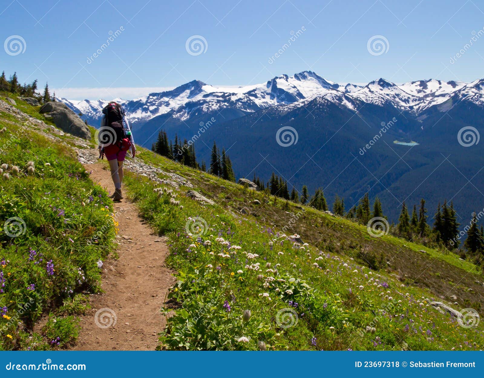 Going for a hike stock photo. Image of blue, leisure - 23697318